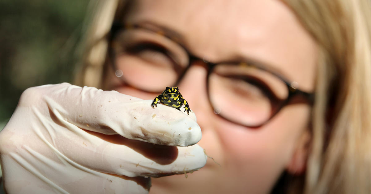 Small Population Management | Taronga Conservation Society Australia