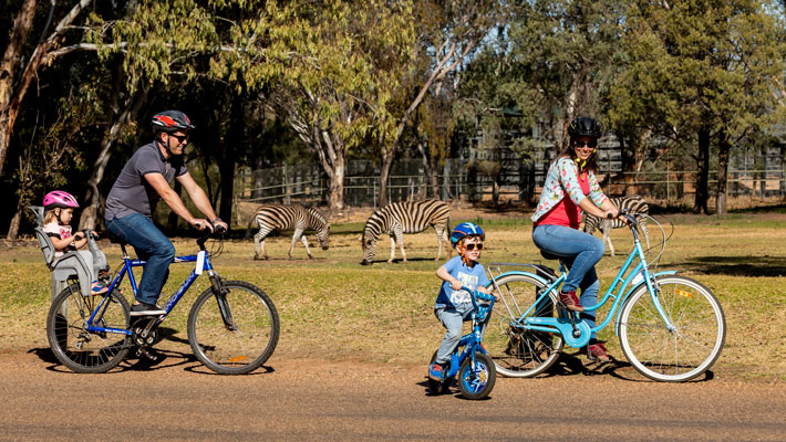 Discover the Wild on Zoofari | Taronga Conservation Society Australia