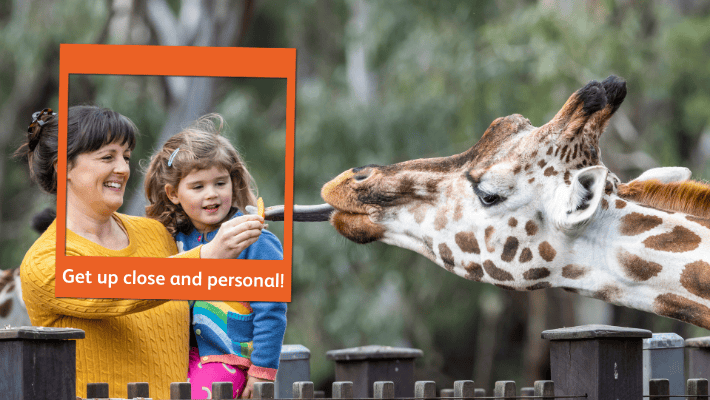 What's On | Taronga Conservation Society Australia