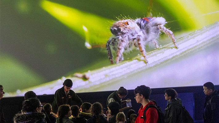 GIO Zoo Month | Taronga Conservation Society Australia