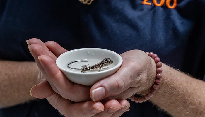 Wildlife Hospital Tour | Taronga Conservation Society Australia