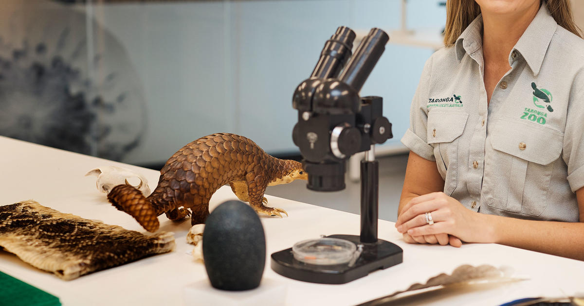 Meet A Scientist | Taronga Conservation Society Australia