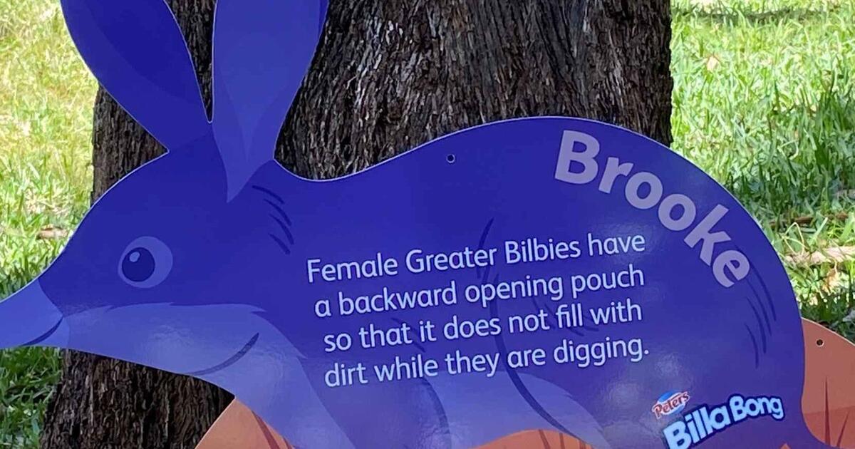 Peters Billabong Track-a-Bilby trail | Taronga Conservation Society ...