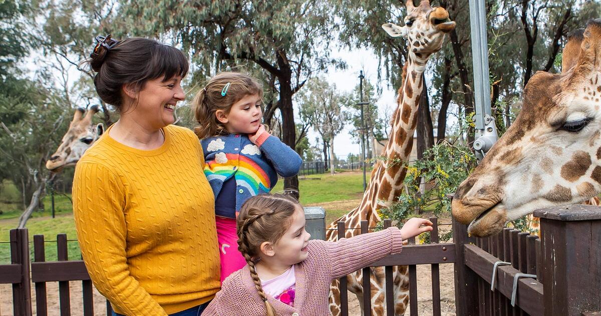 Taronga Gift Guide | Taronga Conservation Society Australia