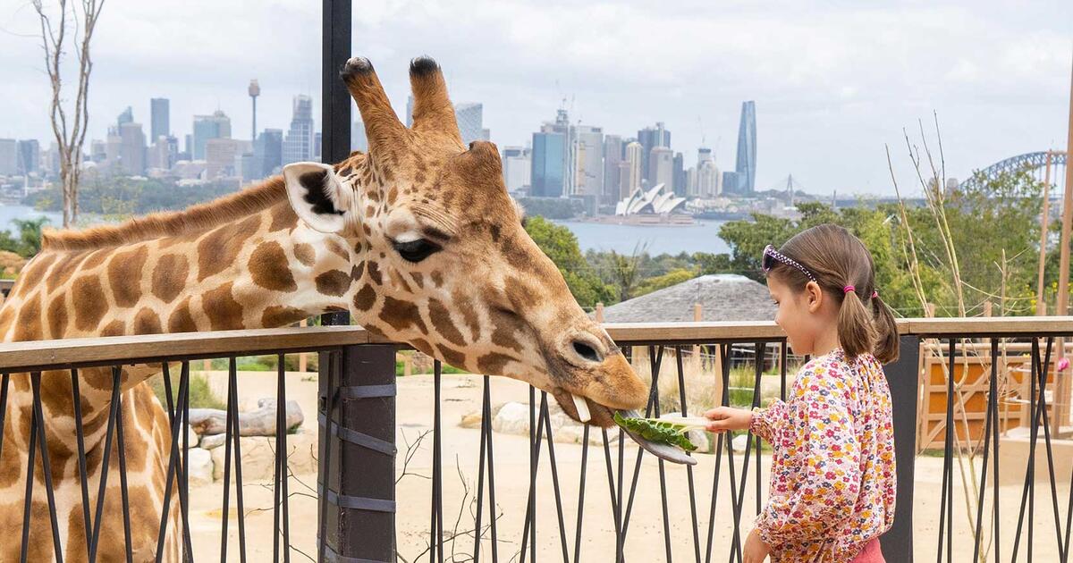 Taronga Experiences | Taronga Conservation Society Australia