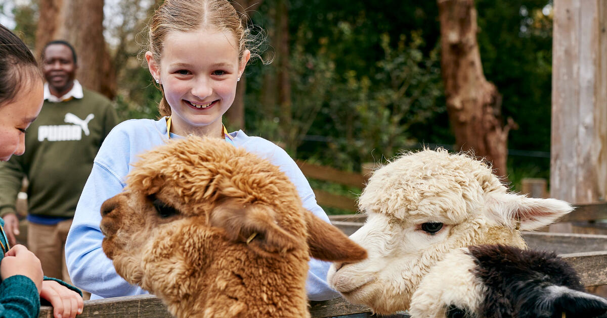 Self-Guided Excursions | Taronga Conservation Society Australia