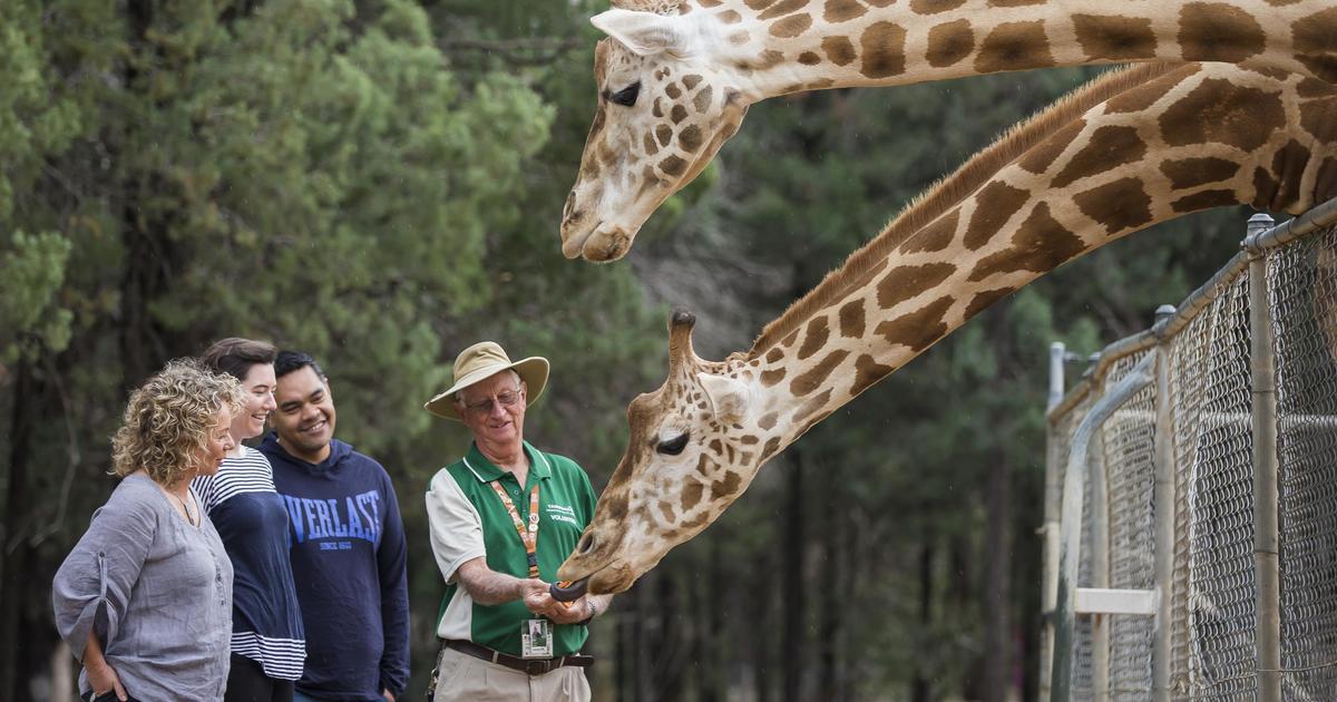 Volunteering Information Session | Taronga Conservation Society Australia