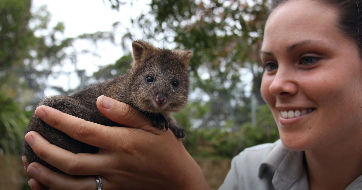 Our People | Taronga Conservation Society Australia