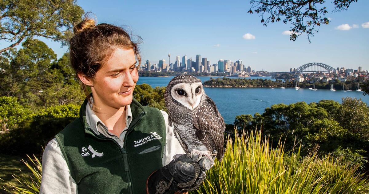 Ask an Expert! | Taronga Conservation Society Australia