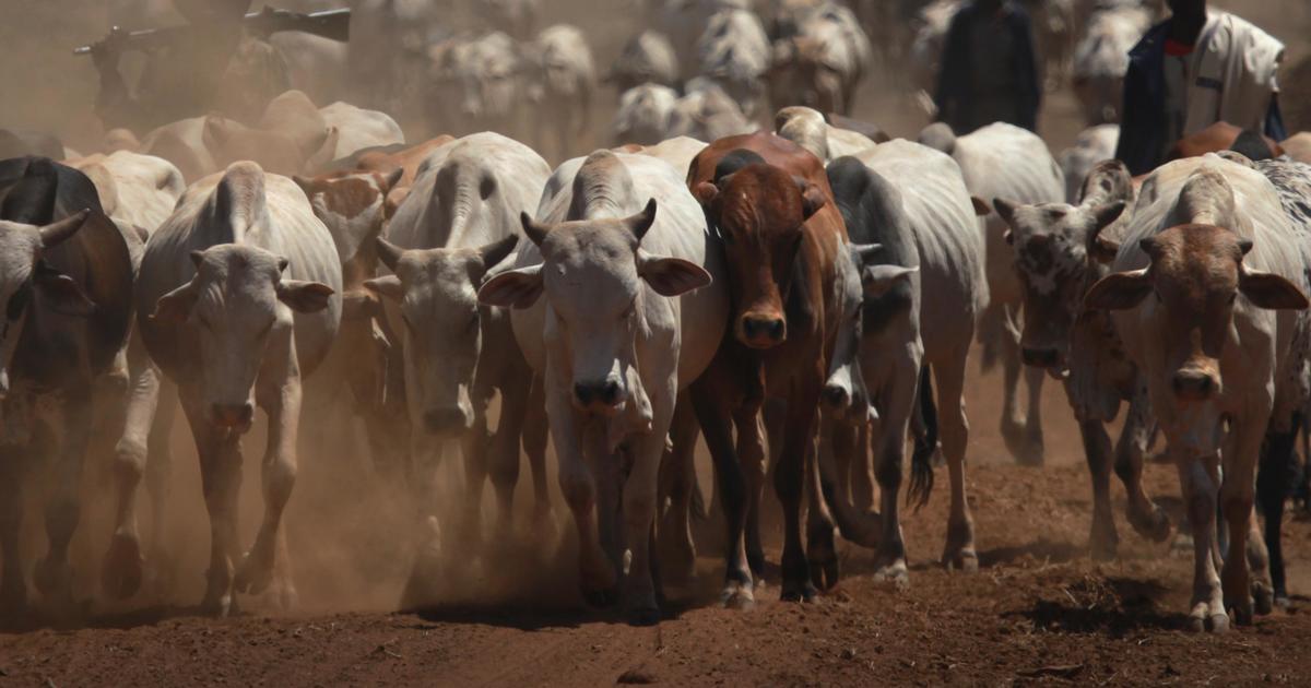 Reducing human-wildlife conflict | Taronga Conservation Society Australia