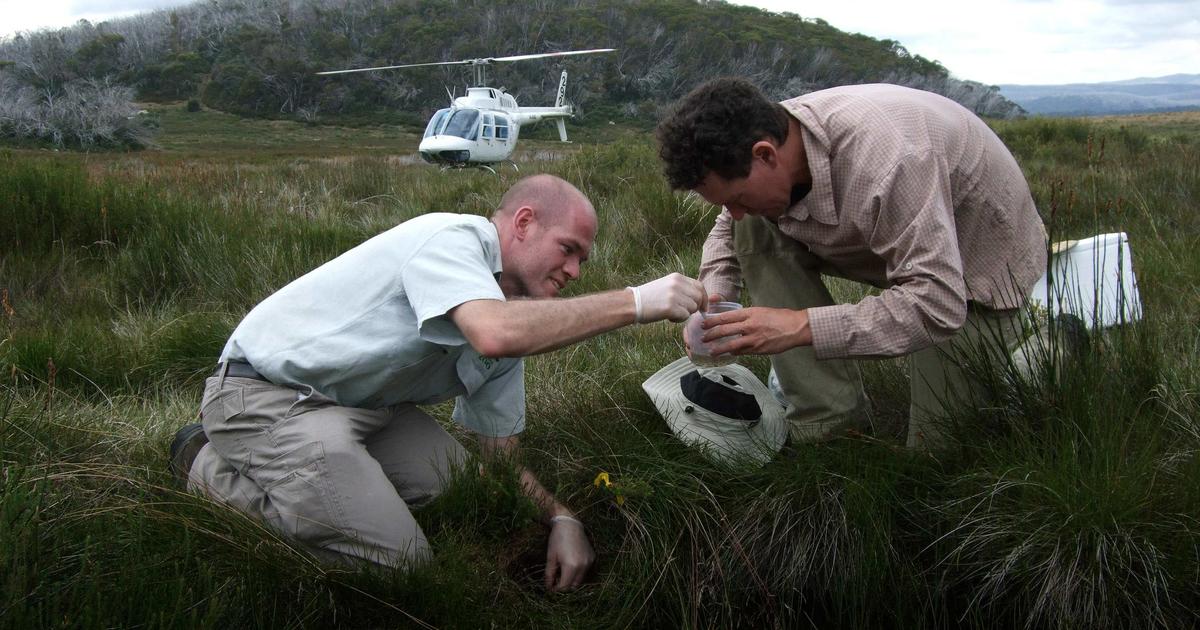 Conservation and Science | Taronga Conservation Society Australia