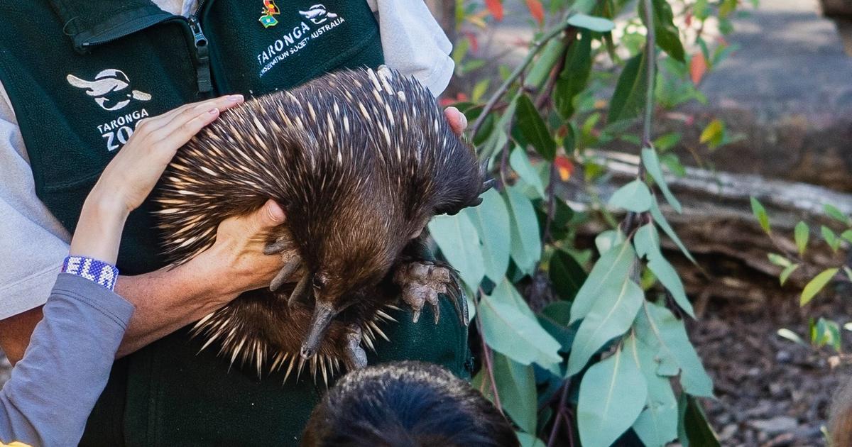 Education | Taronga Conservation Society Australia