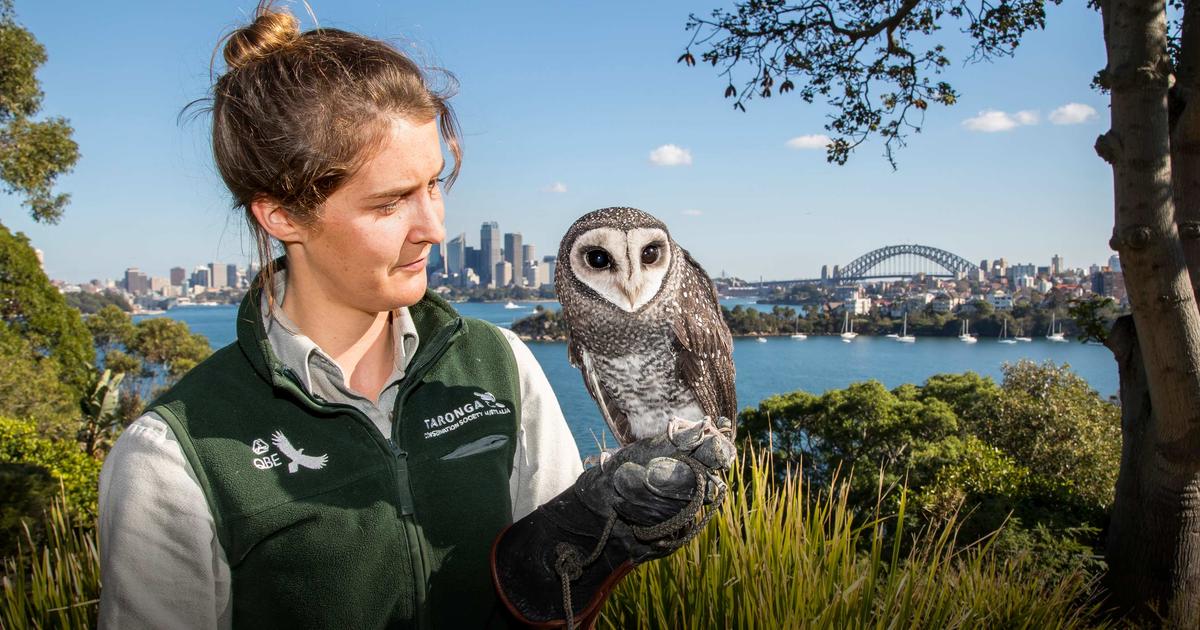 Stage 5 - 6 Day Program: Meet A Keeper | Taronga Conservation Society ...