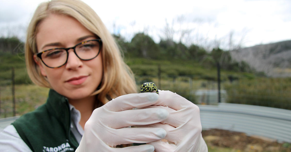 University of Sydney Degree | Taronga Conservation Society Australia