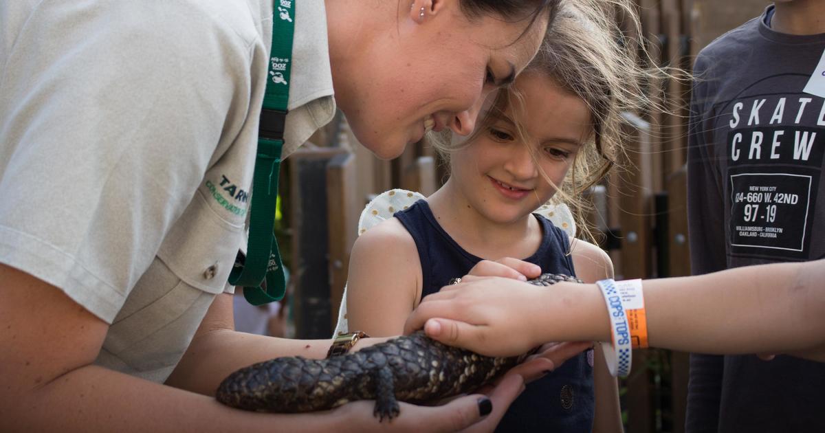 Get Involved | Taronga Conservation Society Australia