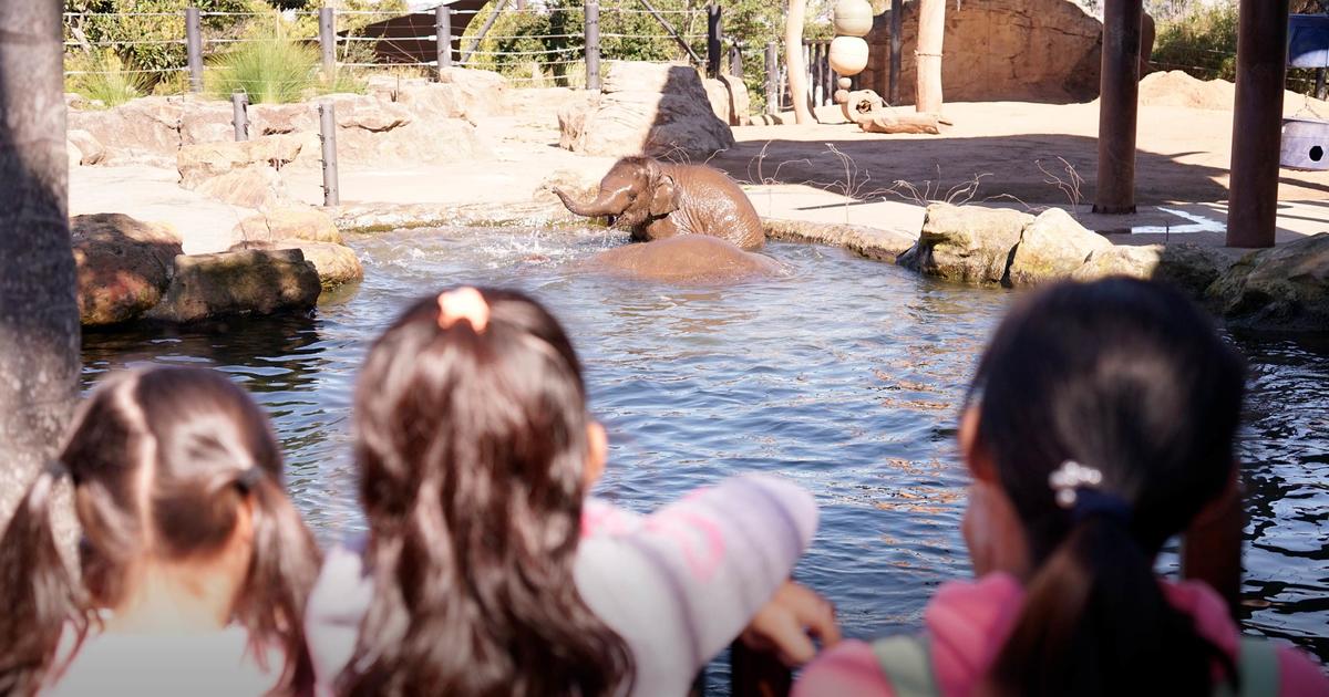 News | Taronga Conservation Society Australia