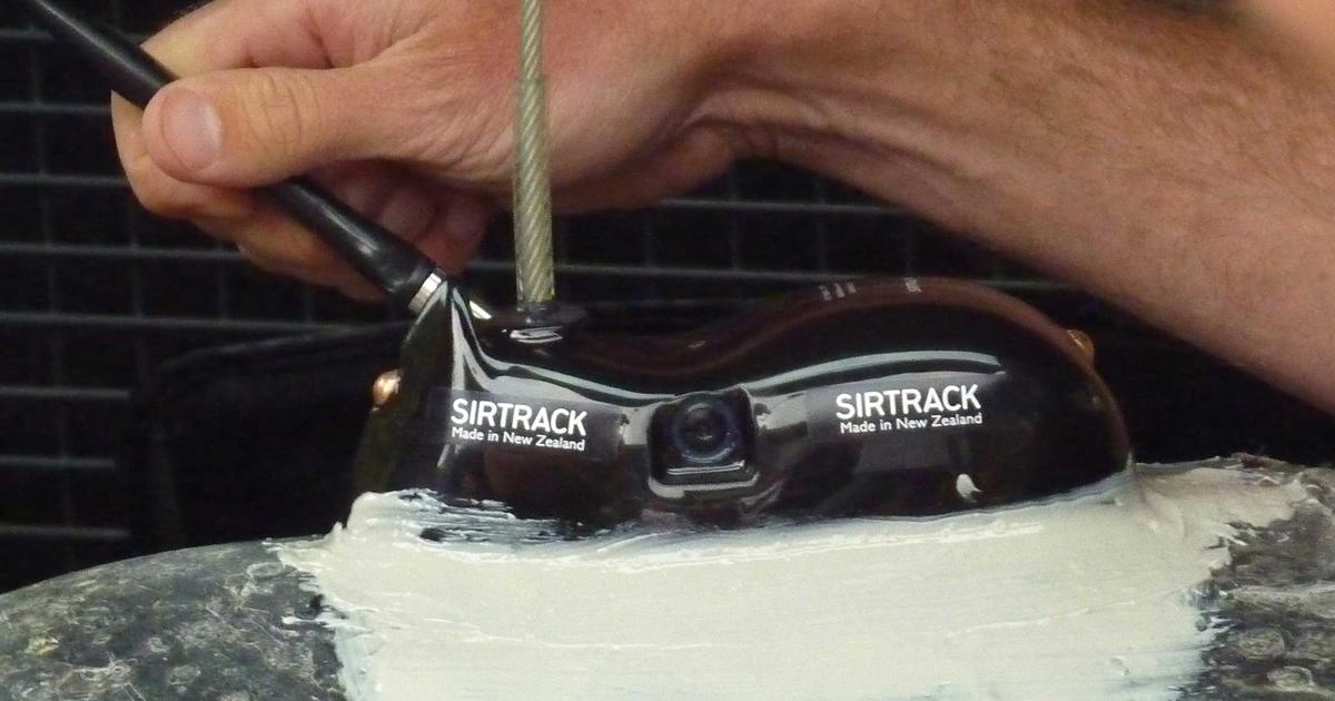 Animal Tracking | Taronga Conservation Society Australia