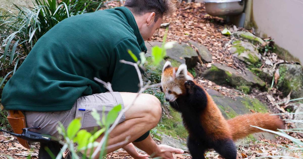 Keeper Enrichment | Taronga Conservation Society Australia
