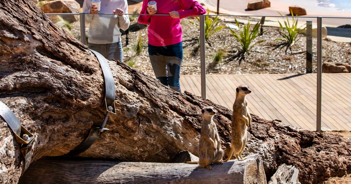 The Waterhole | Taronga Conservation Society Australia