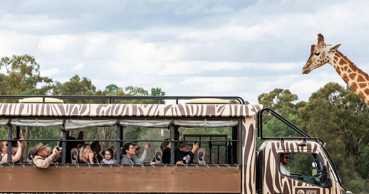 Tours | Taronga Conservation Society Australia