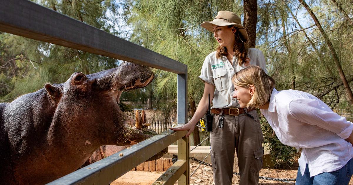 What's On | Taronga Conservation Society Australia