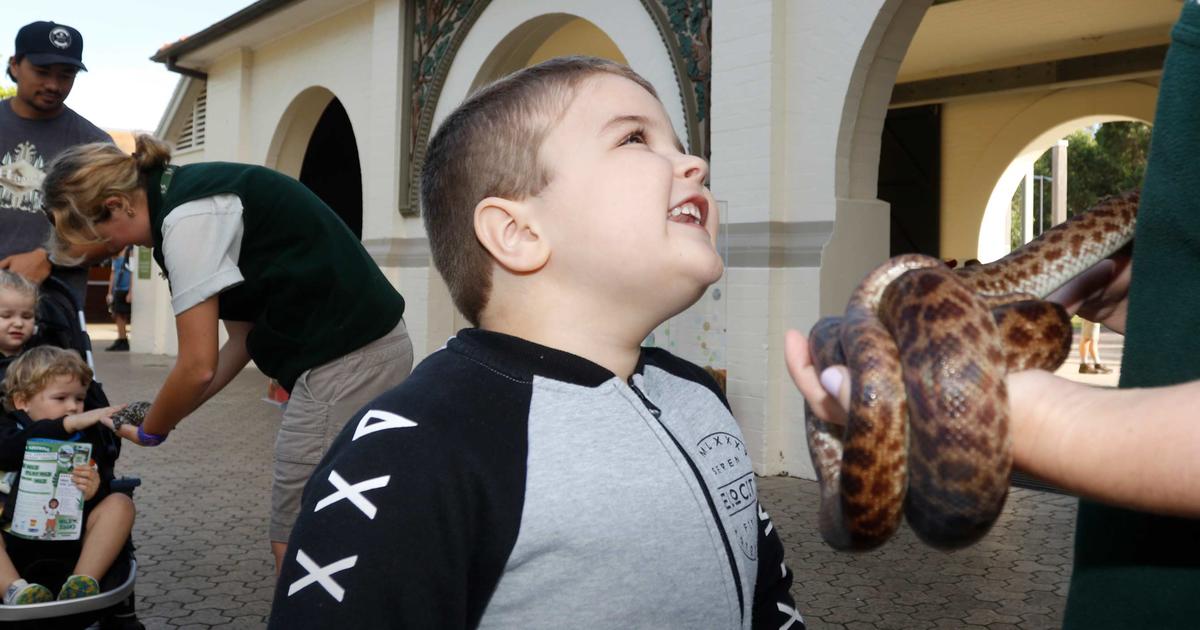 Accessibility | Taronga Conservation Society Australia