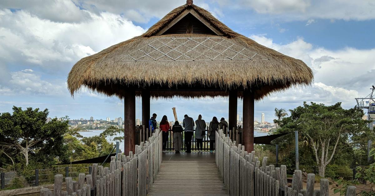 Elephant Tower Experience | Taronga Conservation Society Australia