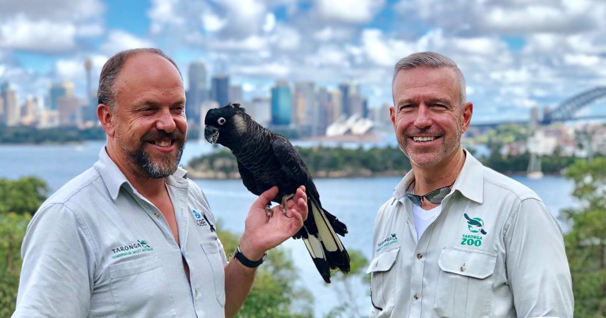 Taronga Talks | Taronga Conservation Society Australia