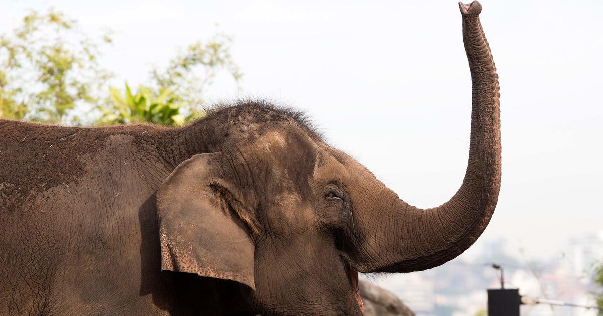 Success | Taronga Conservation Society Australia