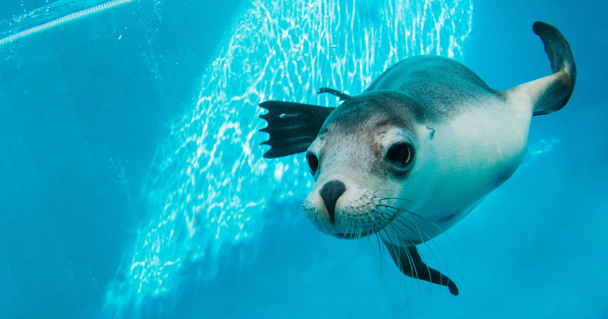 What's On at Taronga Zoo Sydney | Taronga Conservation Society Australia