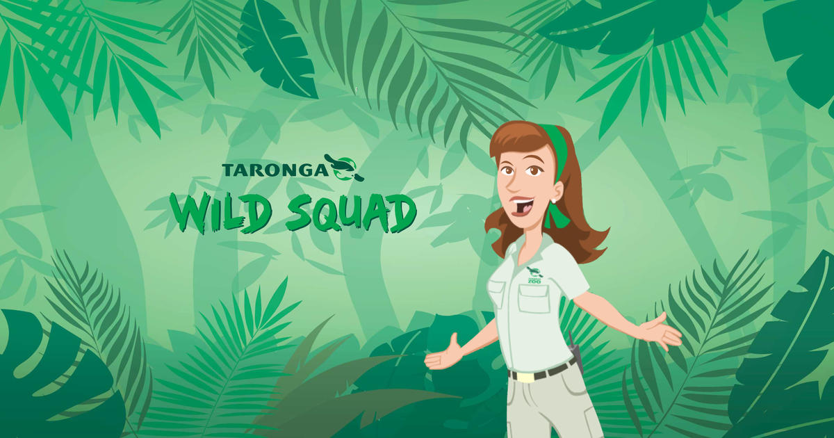 Sign up for Wild Squad updates! | Taronga Conservation Society Australia