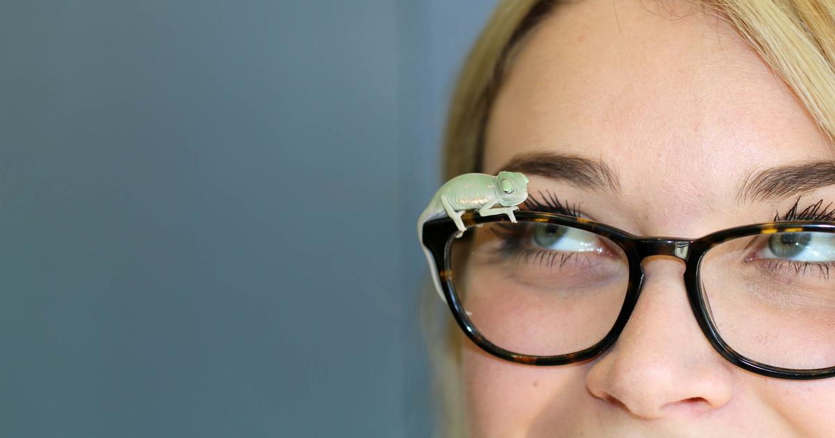 Becoming a Zoo Keeper | Taronga Conservation Society Australia