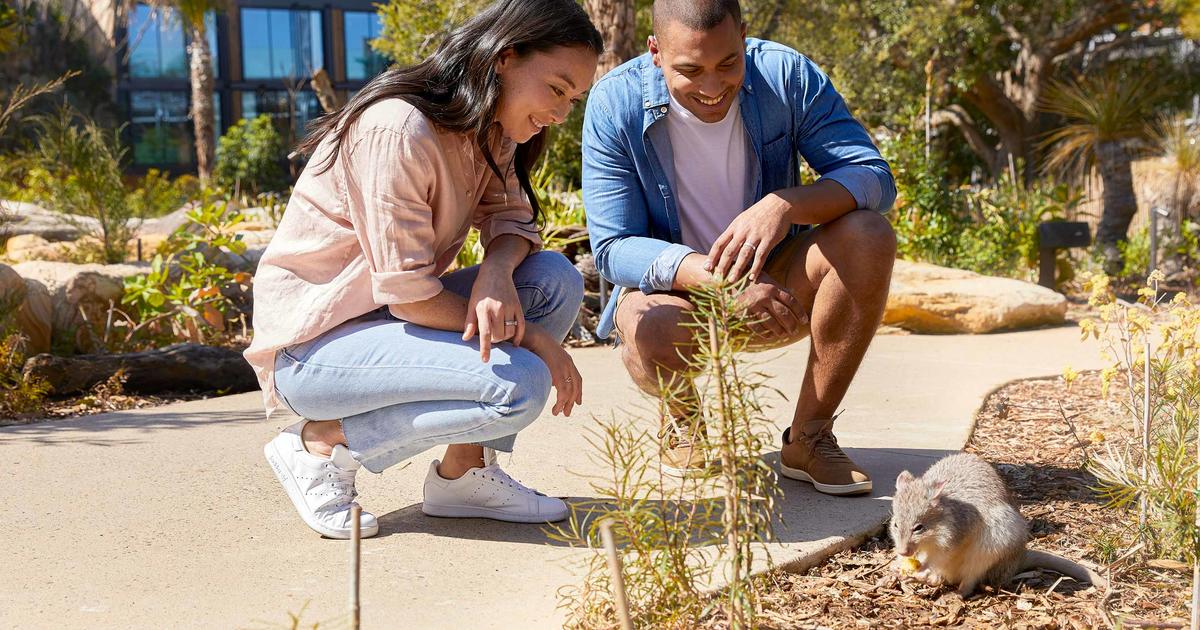 Ultimate Retreat Package | Taronga Conservation Society Australia