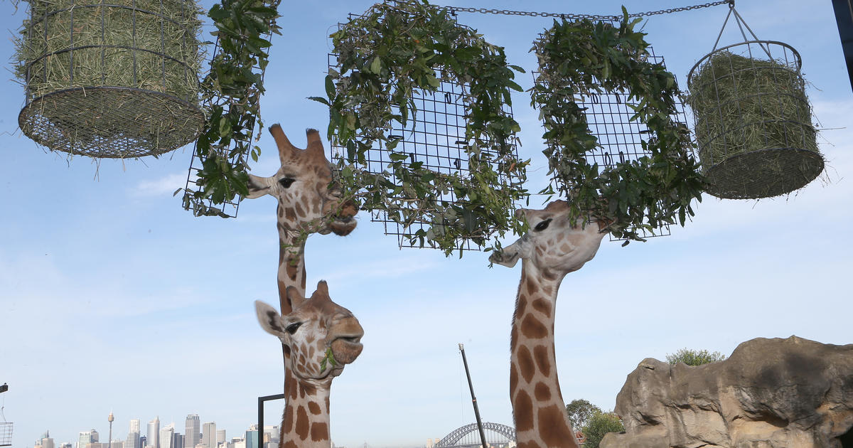 Taronga celebrates 100th birthday | Taronga Conservation Society Australia