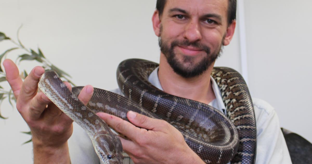 Snake safety tips for summer | Taronga Conservation Society Australia