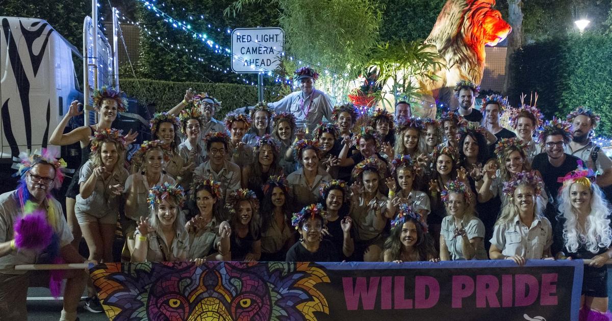 Taronga celebrates its Wild Pride! | Taronga Conservation Society Australia