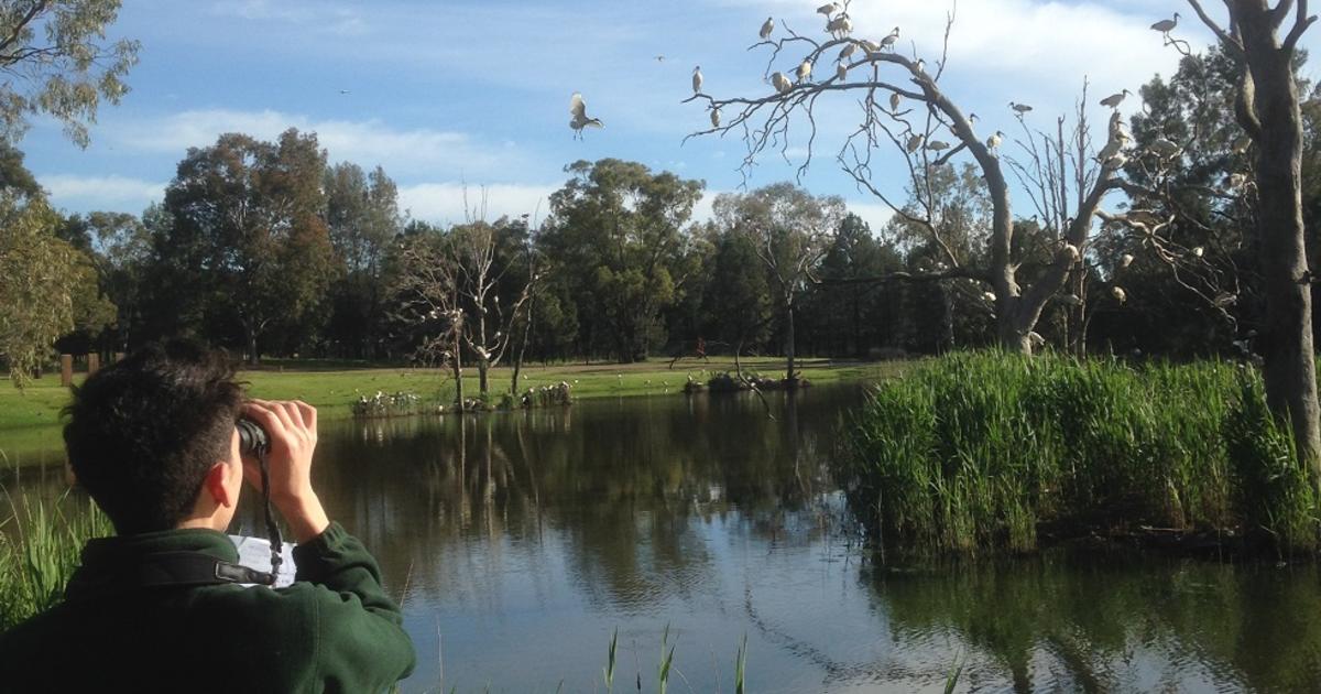Joining the Aussie Backyard Bird Count | Taronga Conservation Society ...