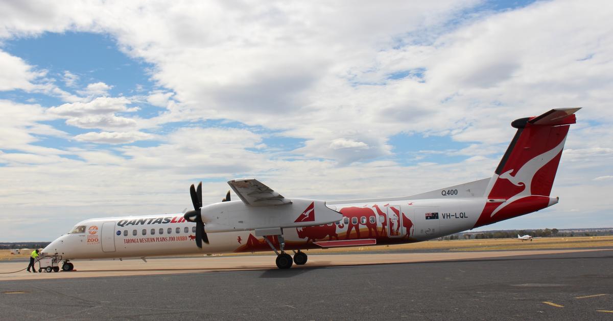 Qantaslink unveils refreshed Taronga decal | Taronga Conservation ...