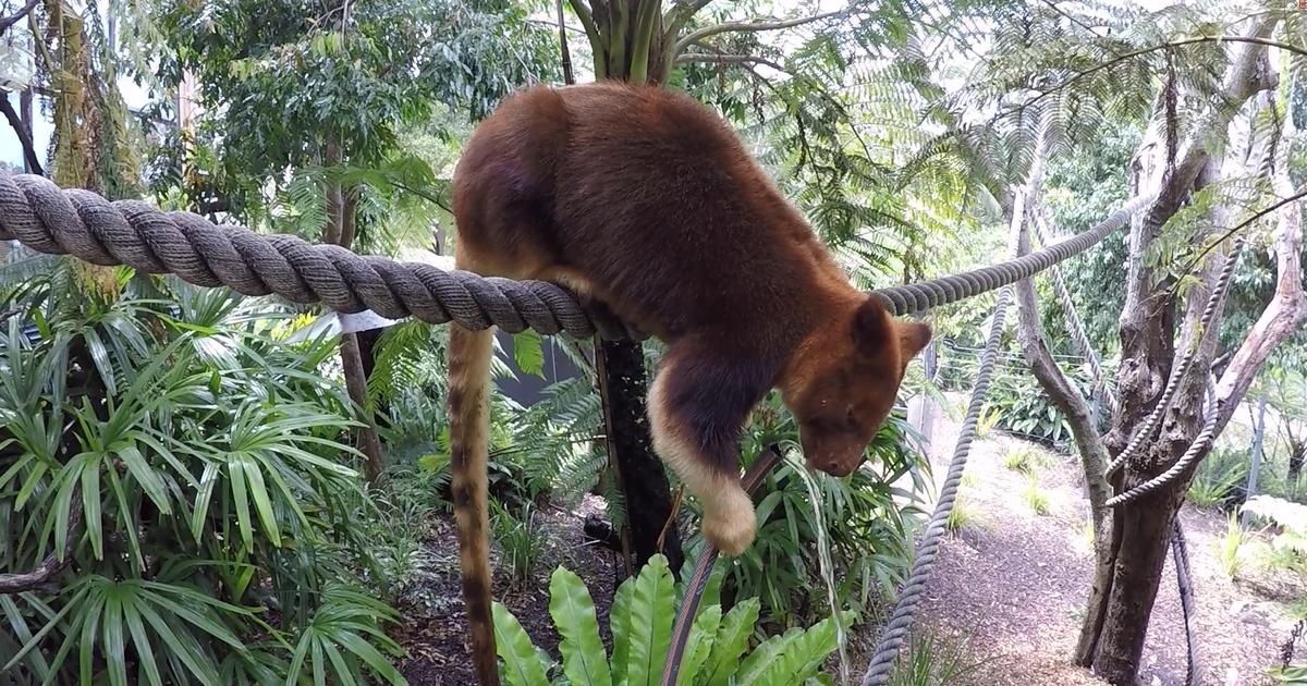 Make a difference by living sustainably | Taronga Conservation Society ...