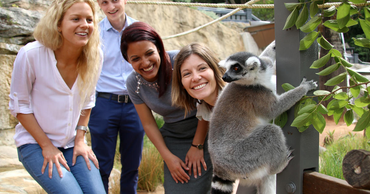Have your say in focus group | Taronga Conservation Society Australia