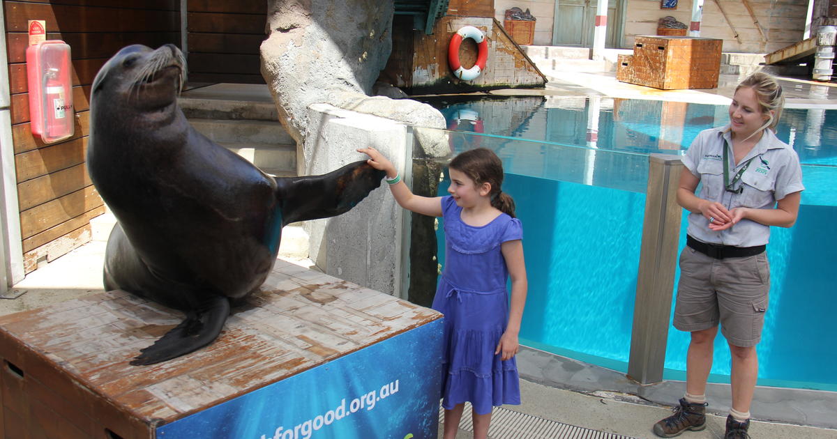 ‘Fish for Good’ Competition Winner Tilly meets Taronga’s Marine Life ...