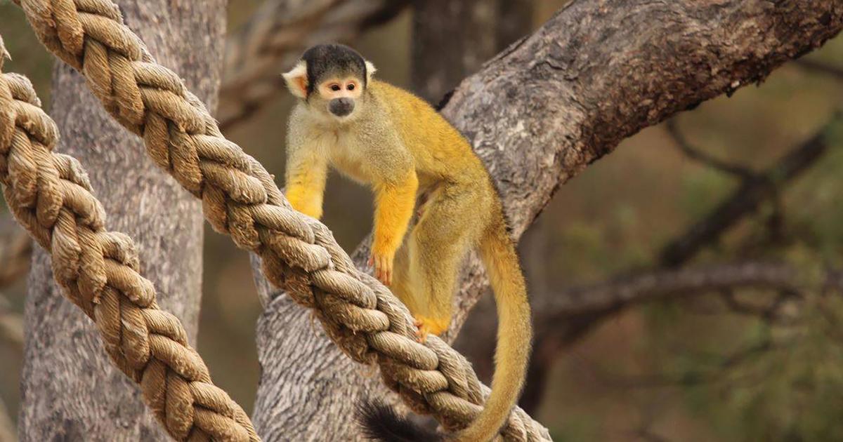 New at the Zoo | Taronga Conservation Society Australia