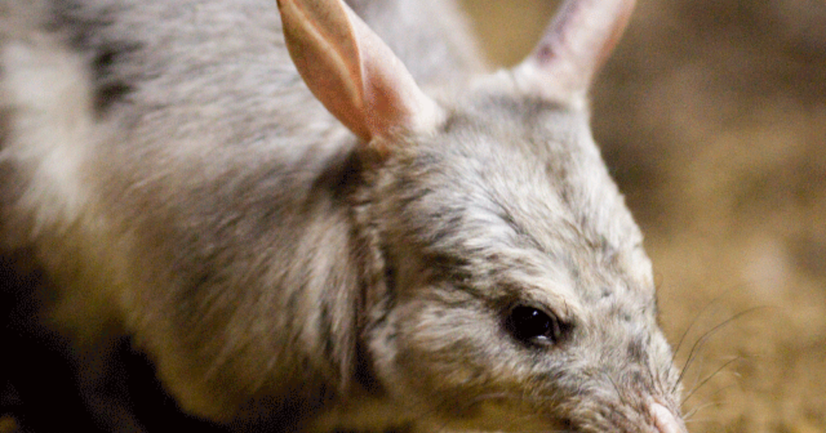 Royal Visit to Taronga | Taronga Conservation Society Australia
