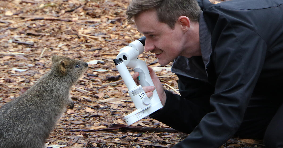 Quok's up at the wildlife hospital?! | Taronga Conservation Society ...