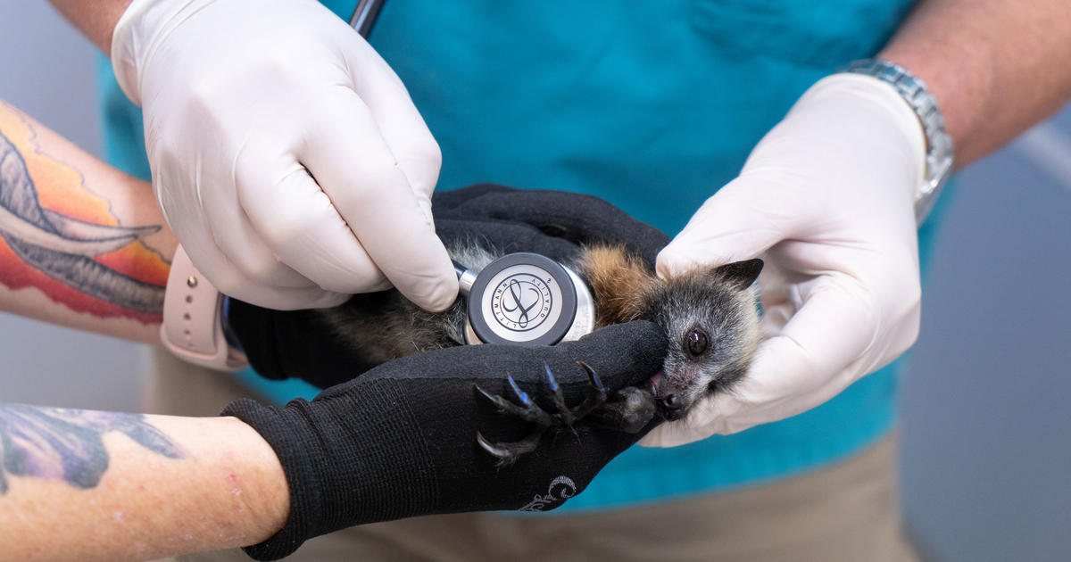 Taronga's emergency response | Taronga Conservation Society Australia