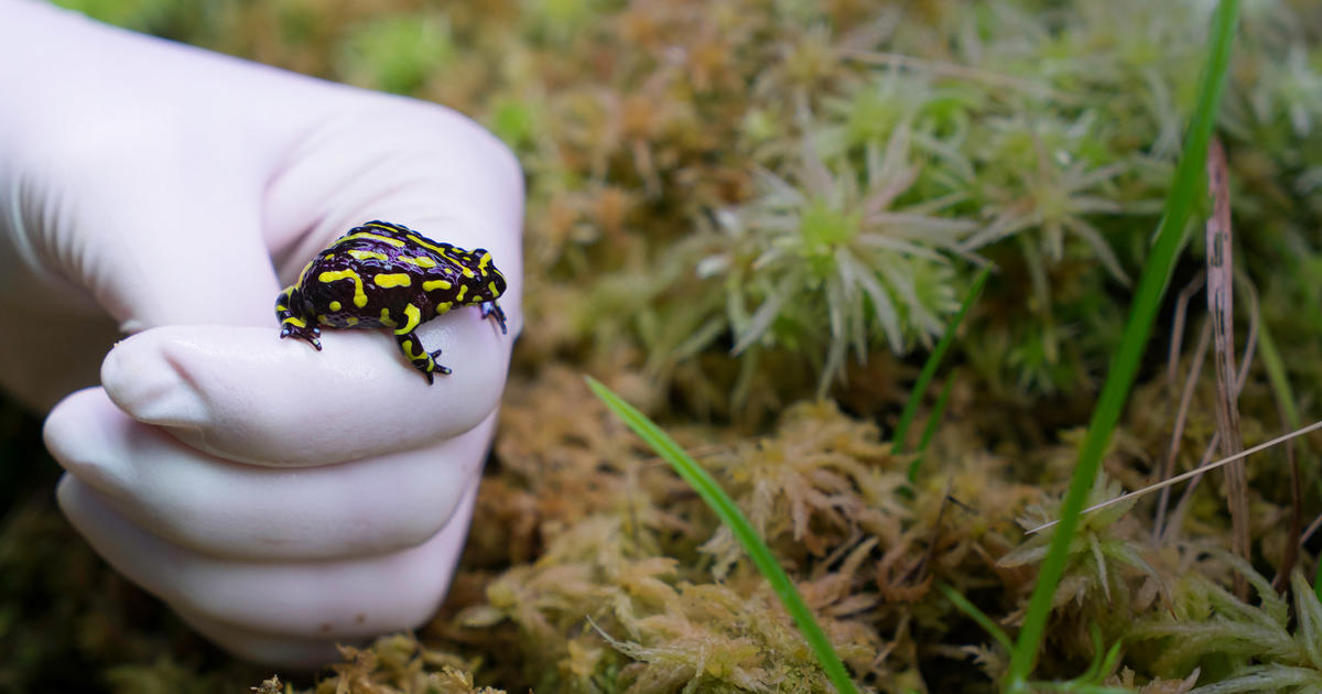Taronga Conservation Society Australia